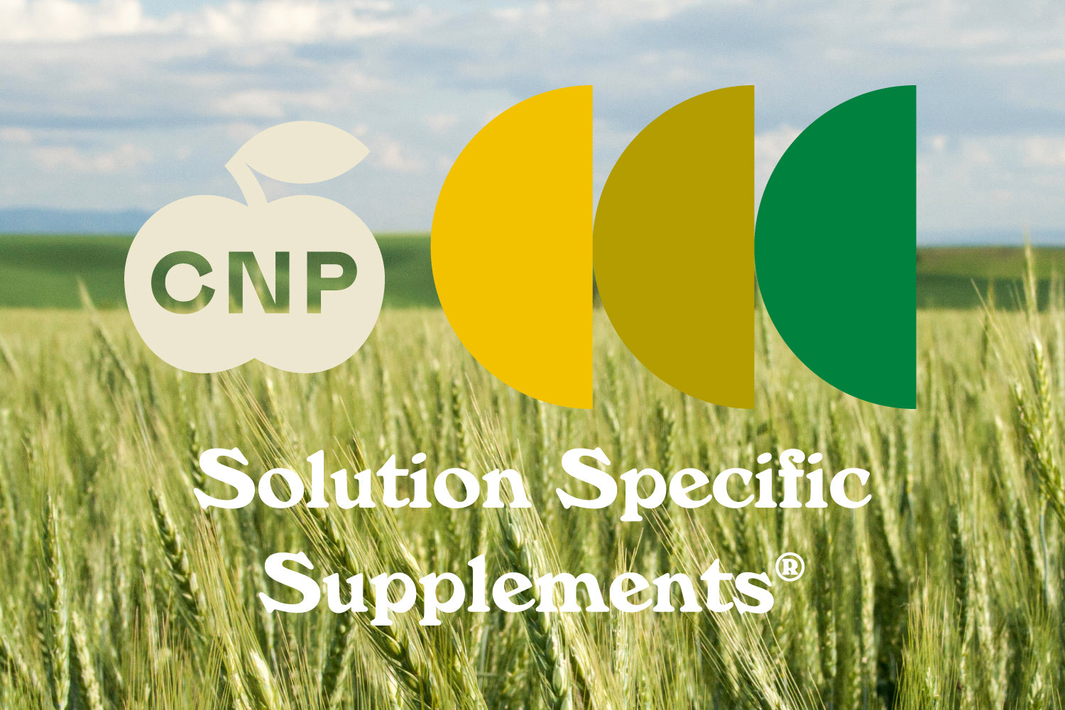 Complete Natural Products Natural Solutions for Everyday Health Issues ...