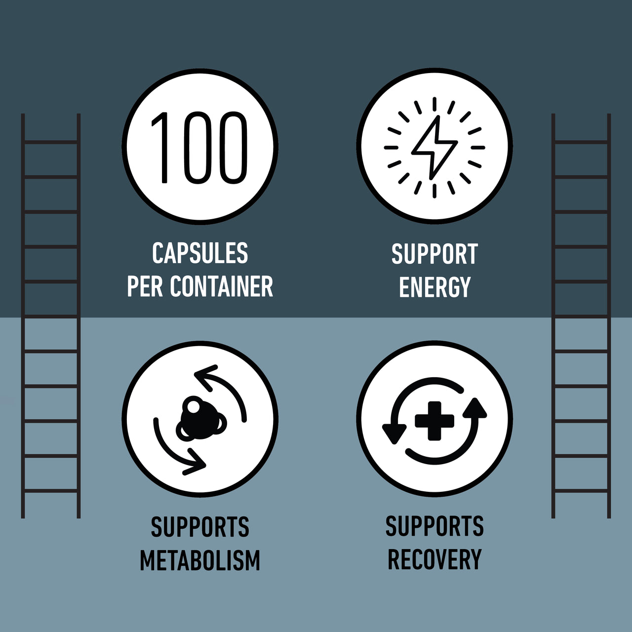 L-Carnitine Capsules 520mg – Plant-Based Amino & Energy Support – CNPUSA